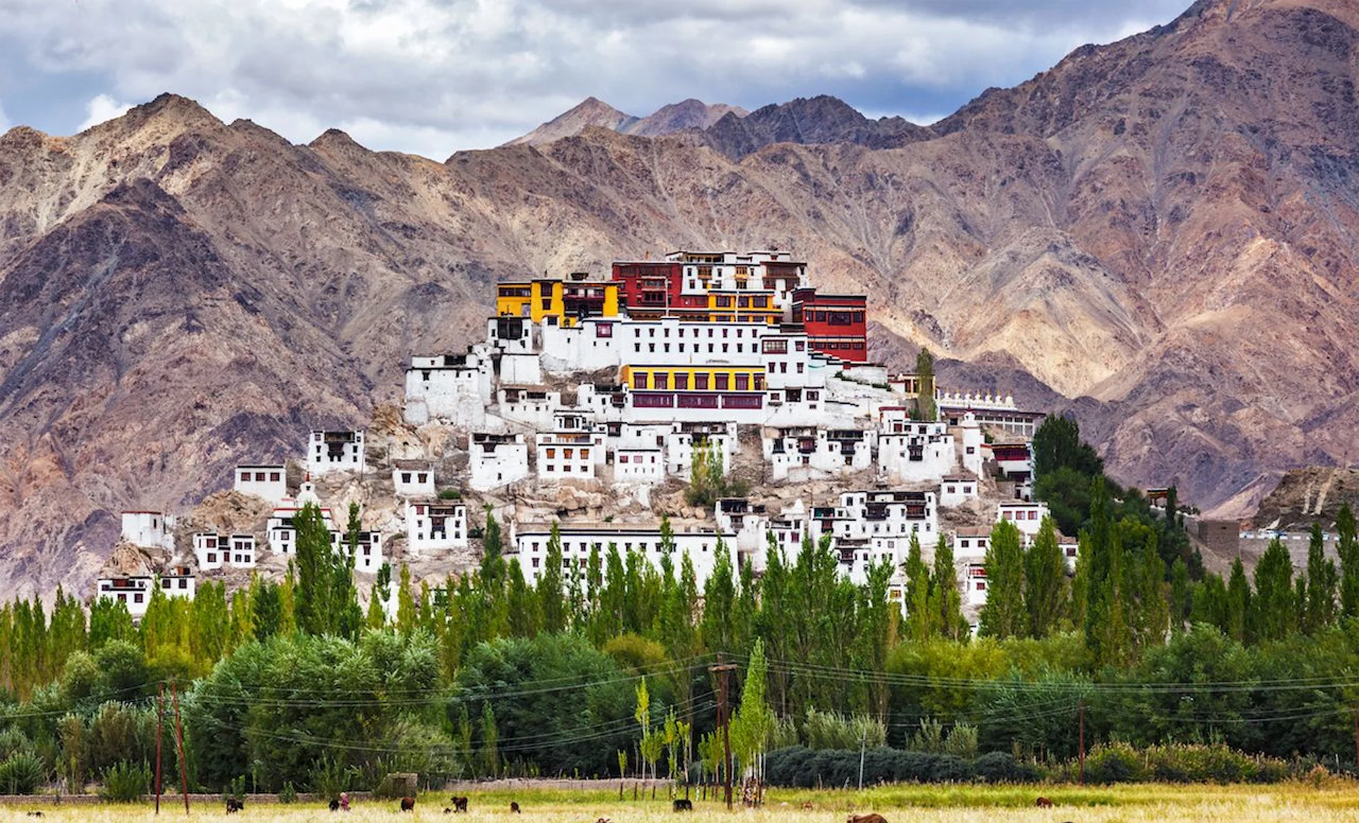 Leh Ladakh Tour Packages Starting @Rs.13,600/-PP. Book Now!!